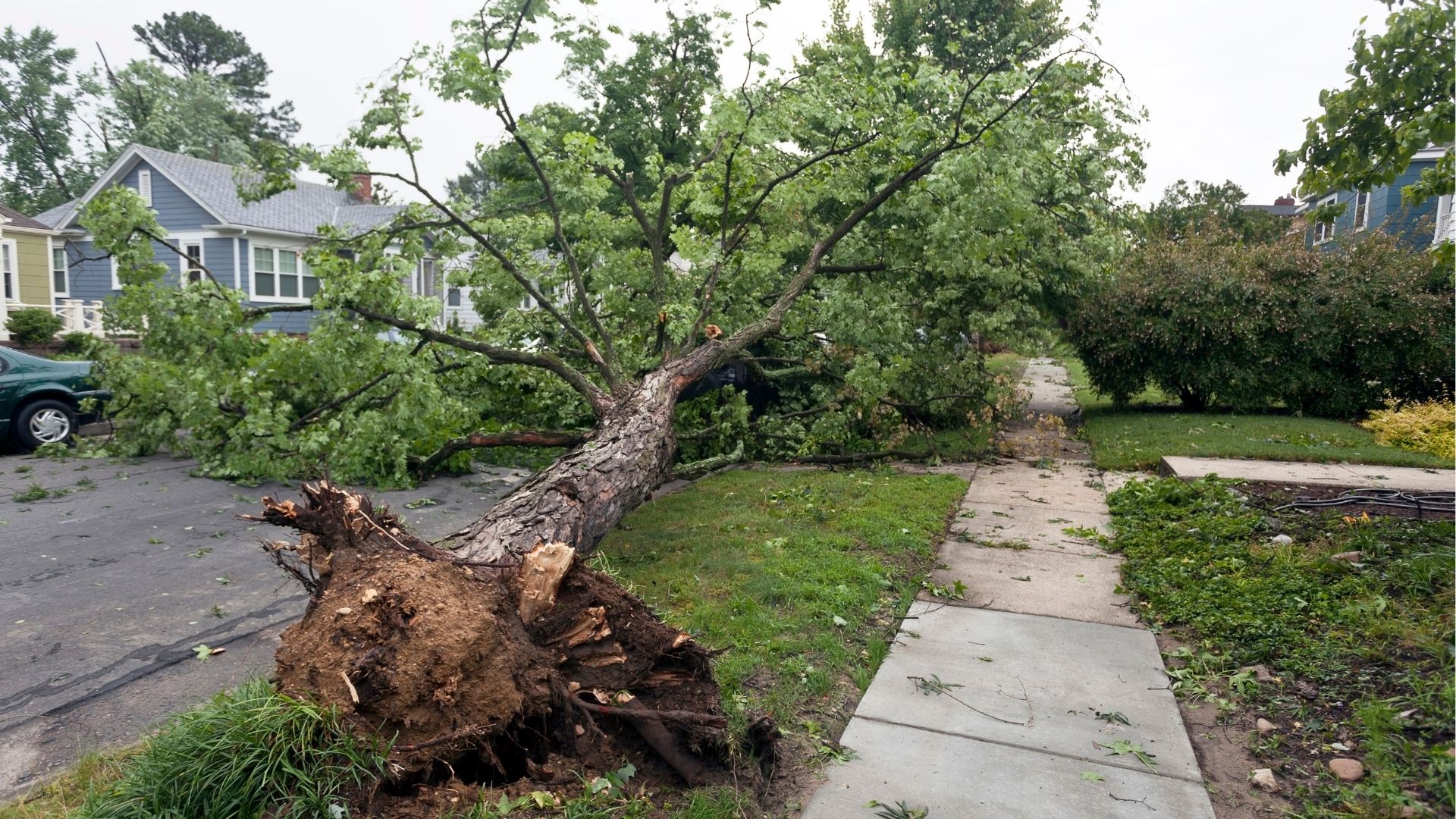Storm Damage Recovery: Schmitt's Guide to Yard Restoration